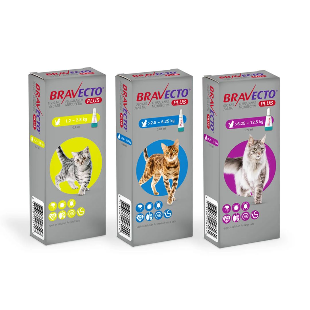 Bravecto Plus 一錠除 全效貓用滴劑體 - Pet23