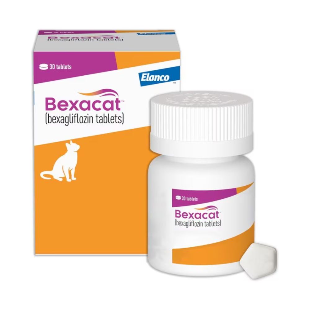 Bexacat™ 貓隻糖尿病口服藥物 - Pet23