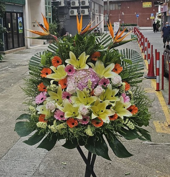 8062 - GWflower(gw花店)