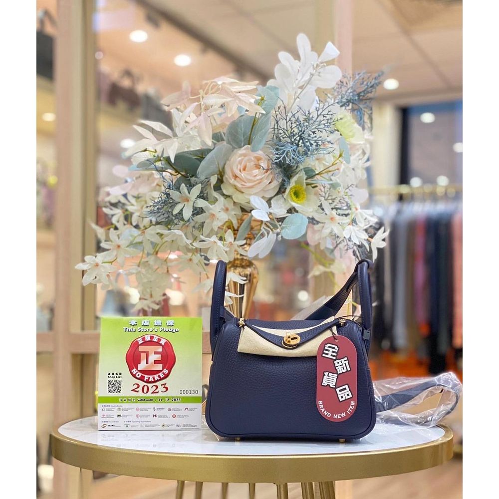 Hermes Mini Lindy - Ladiesluxuryhk