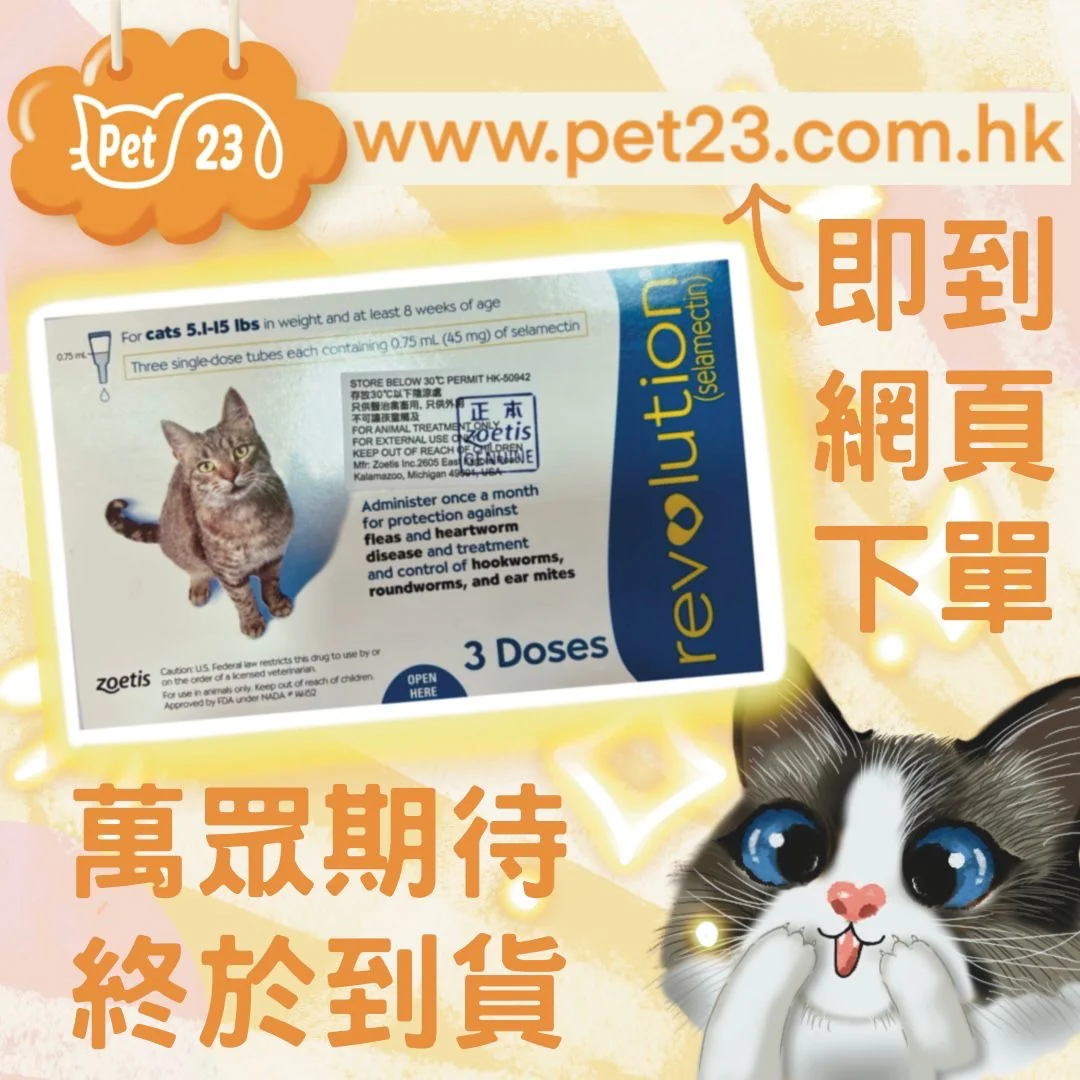 VETOQUINOL Rubenal® 75mg Renal Supplement 腎臟補充劑 - Pet23